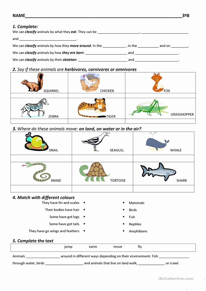 Hiset Social Studies Worksheets Beautiful 30 Hiset Social Stu S Hiset Social Studies Worksheets Beautiful 30 Hiset Social Stu S