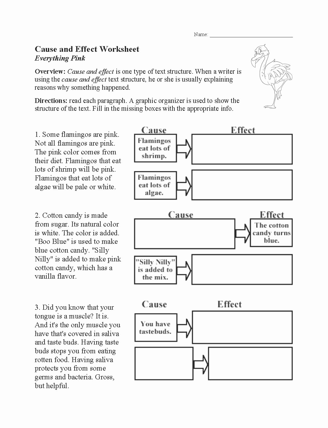 Get 30 Simply Text Structure Practice Worksheets Simple Template Design Get 30 Simply Text Structure Practice Worksheets Simple Template Design